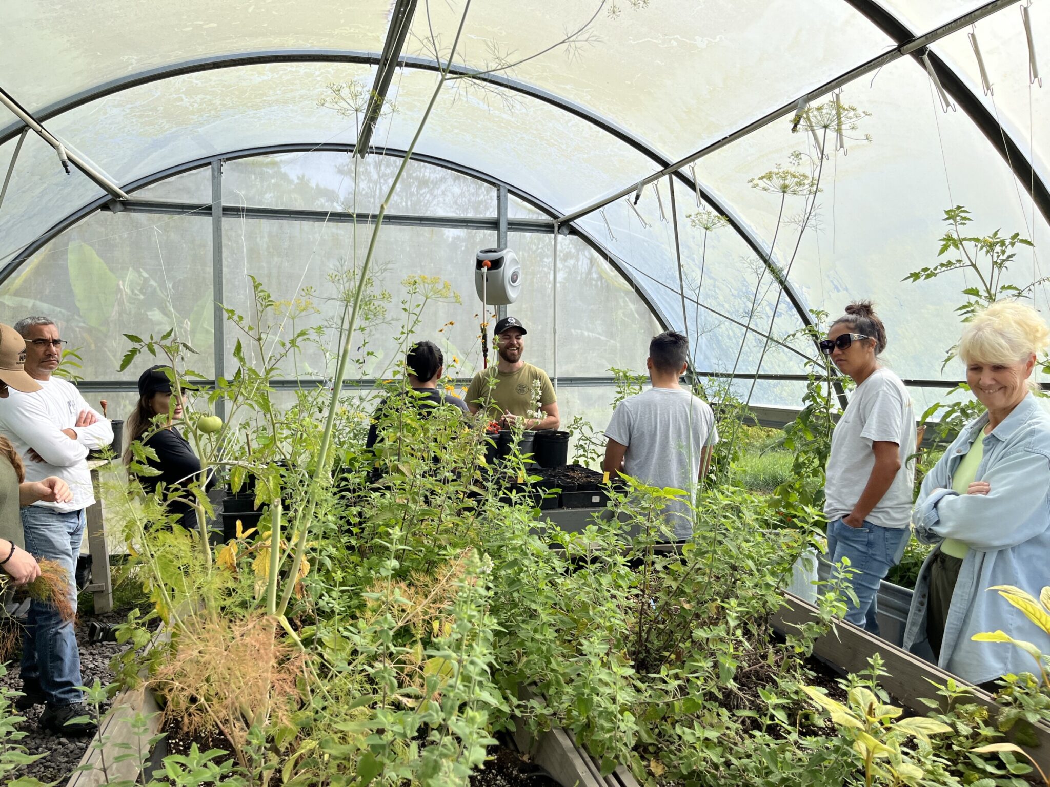 Welcome to Hoʻōla Farms