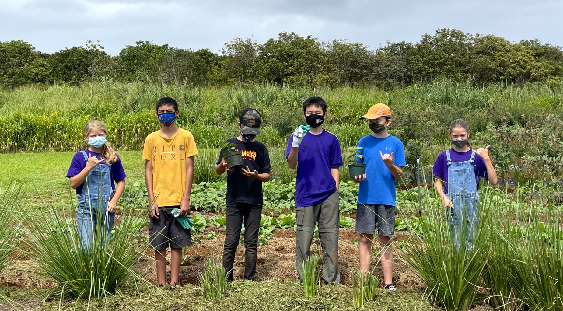 Welcome to Hoʻōla Farms