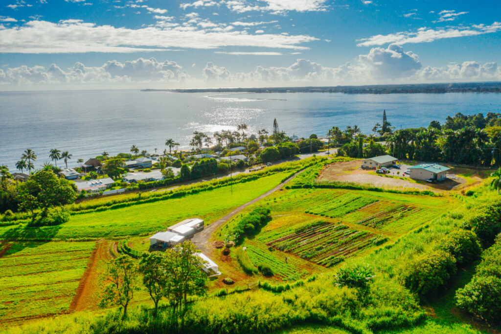 Hoʻōla Farms Programs