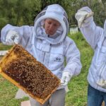 Welcome to Hoʻōla Farms